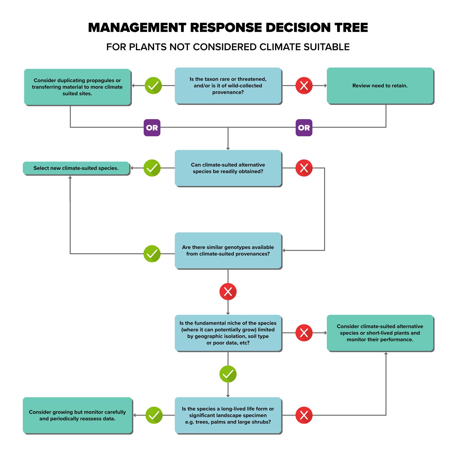 Decision Making Tree Worksheet